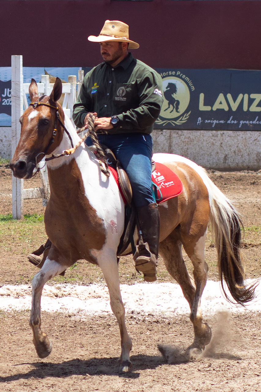 ABCC – Associação Brasileira dos Criadores de Campolina ABCC – Associação Brasileira dos Criadores de Campolina